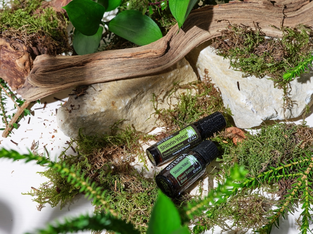 FOREST BATHING - aromapura